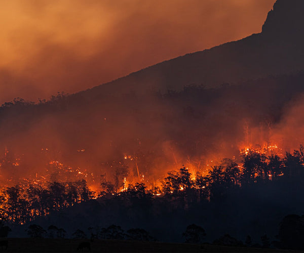 BUSHFIRES WILL HAPPEN - AND YOU CAN BE PREPARED – Neostore Storage